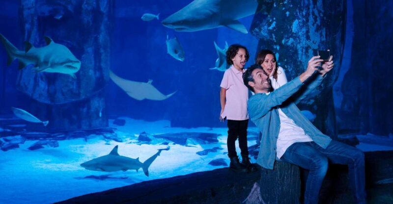 SEA LIFE Arizona Aquarium General Admission - An Up-Close Look at SEA LIFE Arizona Aquarium