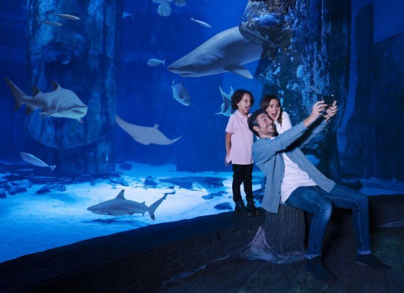 SEA LIFE Arizona Aquarium General Admission - Final Thoughts: The Value Proposition