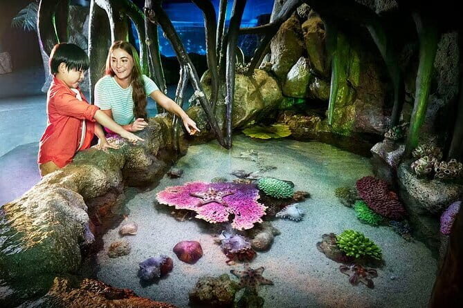 Sea Life Bangkok & Madame Tussauds Ticket with Optional Transfers - Frequently Asked Questions