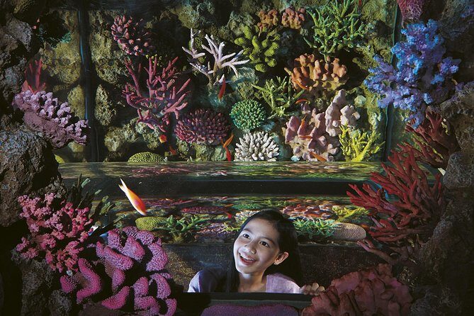 SEA LIFE Bangkok Ocean World and Madam Taussauds Entry Ticket - Final Reflection