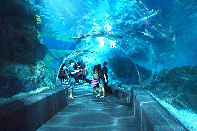 Sea life Bangkok Ocean World Ticket - The Location and Accessibility