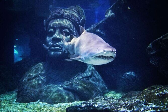 Sea life Bangkok Ocean World Ticket - Tips for Visiting