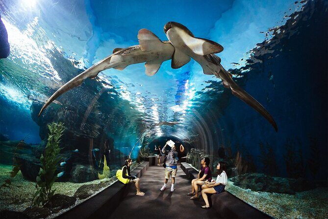 Sea life Bangkok Ocean World Ticket - What Do Visitors Say?