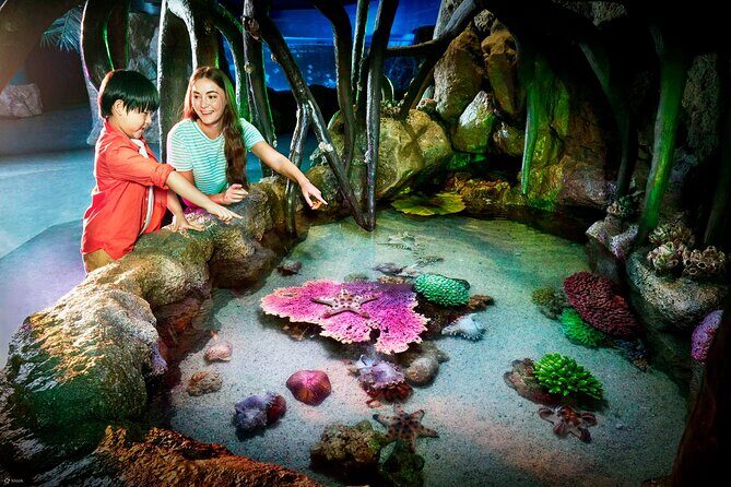 Sea life Bangkok Ocean World Ticket - Who Is This Tour Best For?