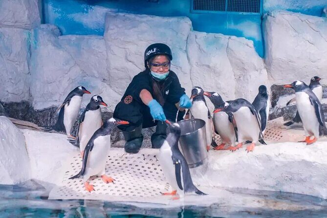 Sea Life Bangkok Ocean World Tickets - In Summary