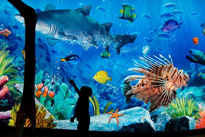 Sea Life Bangkok Ocean World Tickets - What Makes SEA LIFE Bangkok Ocean World Worth Visiting?
