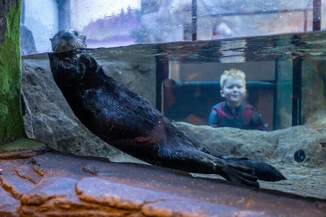 SEA LIFE Birmingham Admission Ticket - Key Points