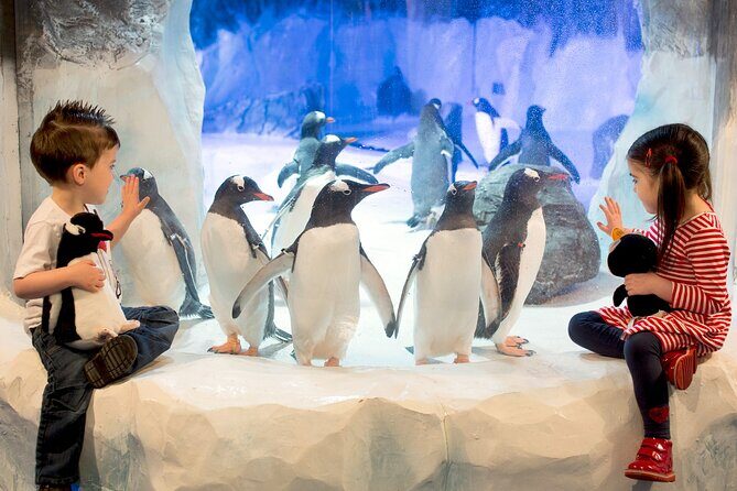 SEA LIFE Birmingham Admission Ticket - Pricing and Value Analysis
