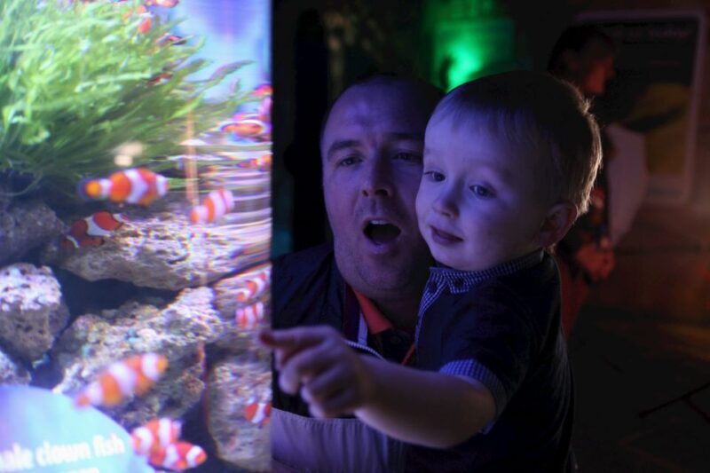 SEA LIFE Blackpool Entrance Ticket - Introduction