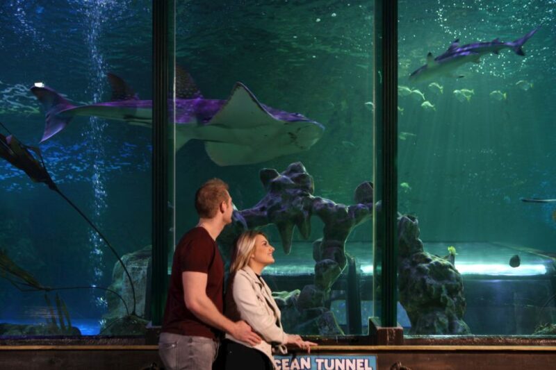 SEA LIFE Blackpool Entrance Ticket - Analyzing the Experience in Detail