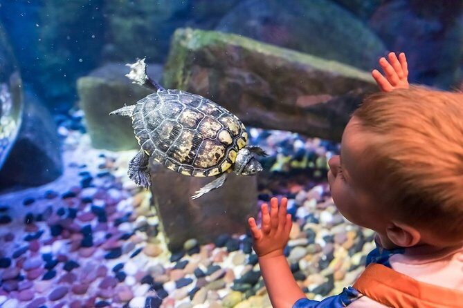 SEA LIFE Brighton Admission Ticket - Practical Tips for Visiting