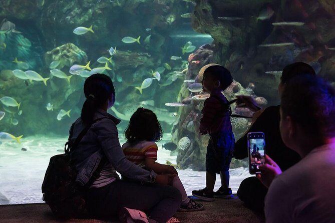 SEA LIFE Brighton Admission Ticket - The Sum Up