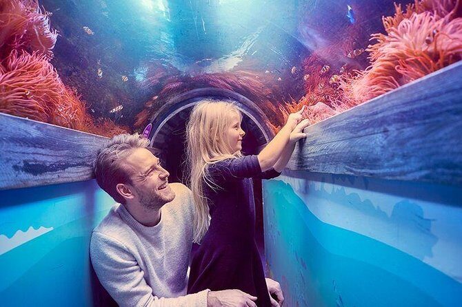 SEA LIFE Brighton Admission Ticket - Frequently Asked Questions