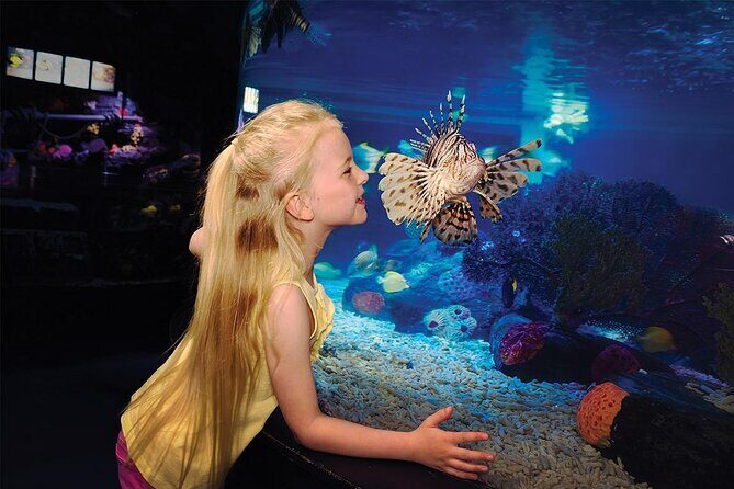 Sea Life Charlotte Concord Aquarium Admission Ticket - Key Points