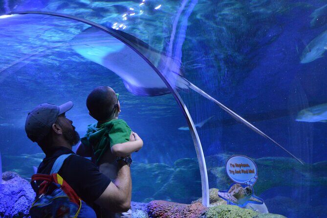 Sea Life Charlotte Concord Aquarium Admission Ticket - What is the Sea Life Charlotte Concord Aquarium?