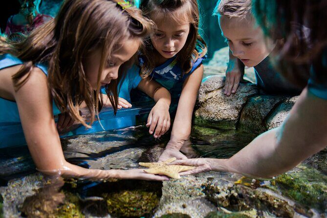 Sea Life Charlotte Concord Aquarium Admission Ticket - The experience in detail