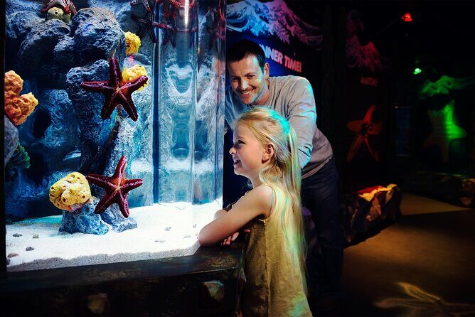 Sea Life Charlotte Concord Aquarium Admission Ticket - How much time should you allocate?