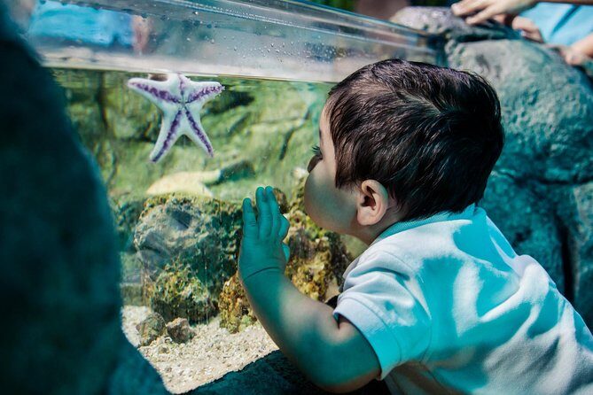Sea Life Charlotte Concord Aquarium Admission Ticket - Price and value analysis