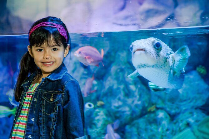 Sea Life Charlotte Concord Aquarium Admission Ticket - The pros and cons based on reviews and features