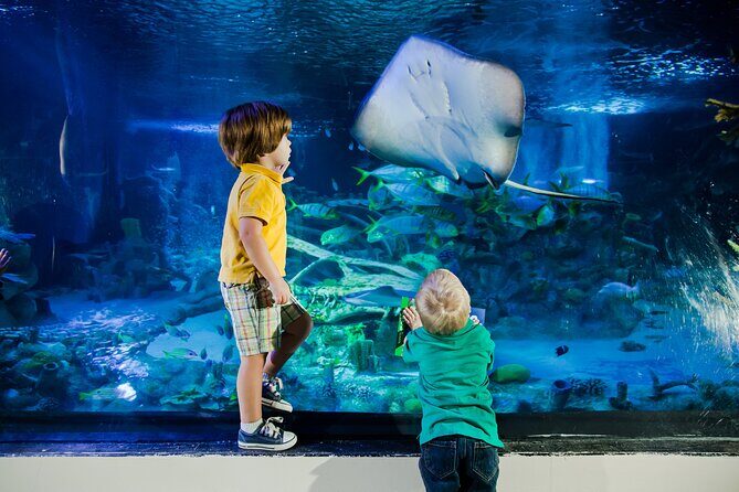 Sea Life Charlotte Concord Aquarium Admission Ticket - Who is this aquarium best suited for?