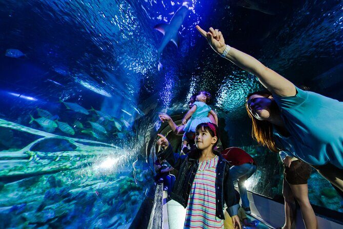 Sea Life Charlotte Concord Aquarium Admission Ticket - Final verdict: Is it worth your time?