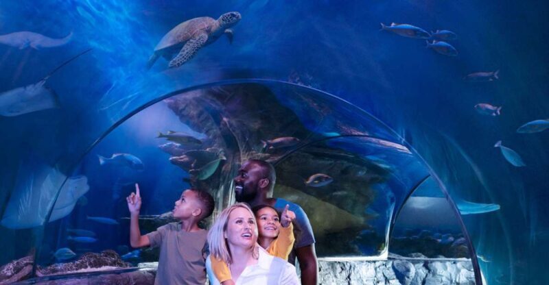 SEA LIFE Charlotte-Concord Aquarium General Admission - A Closer Look at the Experience