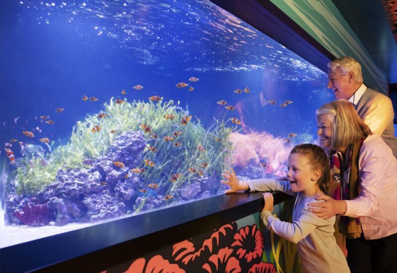 SEA LIFE Charlotte-Concord Aquarium General Admission - Who Should Visit?