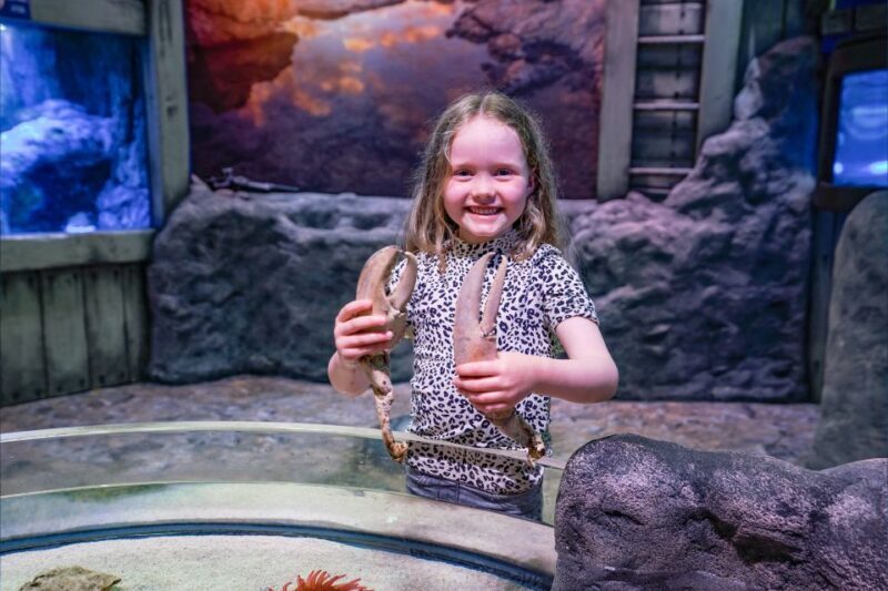 SEA LIFE Great Yarmouth - Introduction
