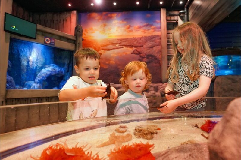 SEA LIFE Great Yarmouth - Key Points