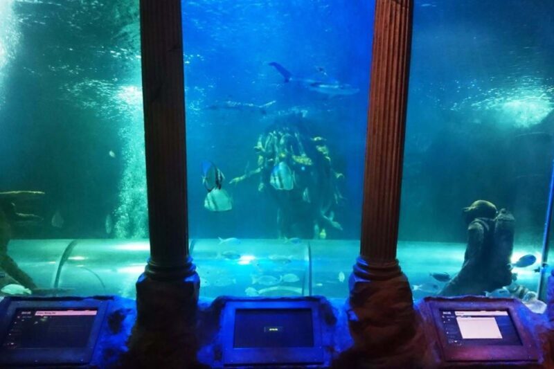 SEA LIFE Great Yarmouth - Value for money