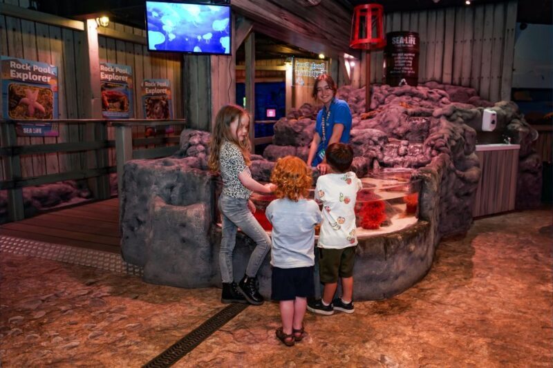 SEA LIFE Great Yarmouth - The Sum Up
