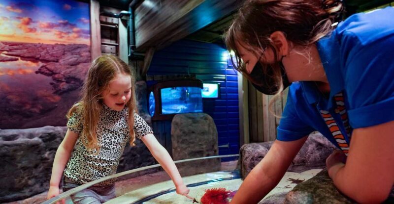 SEA LIFE Great Yarmouth - FAQ