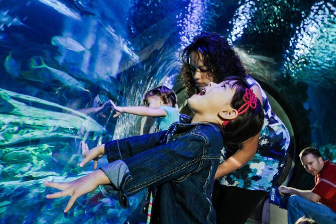 SEA LIFE Kansas City Aquarium Admission Ticket - What Visitors Say: Authentic Perspectives