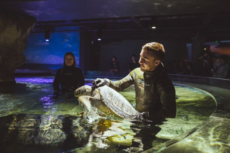 Sea Life Kelly Tarlton's Aquarium General Admission - Key Points