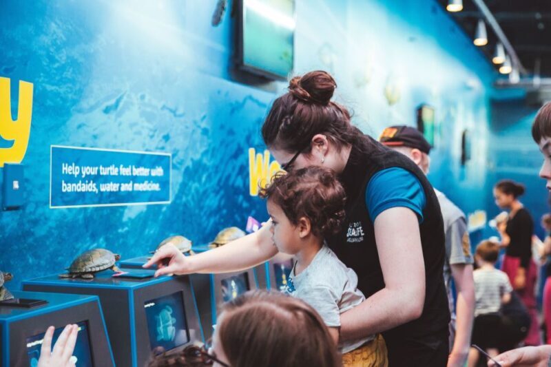 Sea Life Kelly Tarlton's Aquarium General Admission - An In-Depth Look at Kelly Tarlton’s Aquarium: What Makes It Special