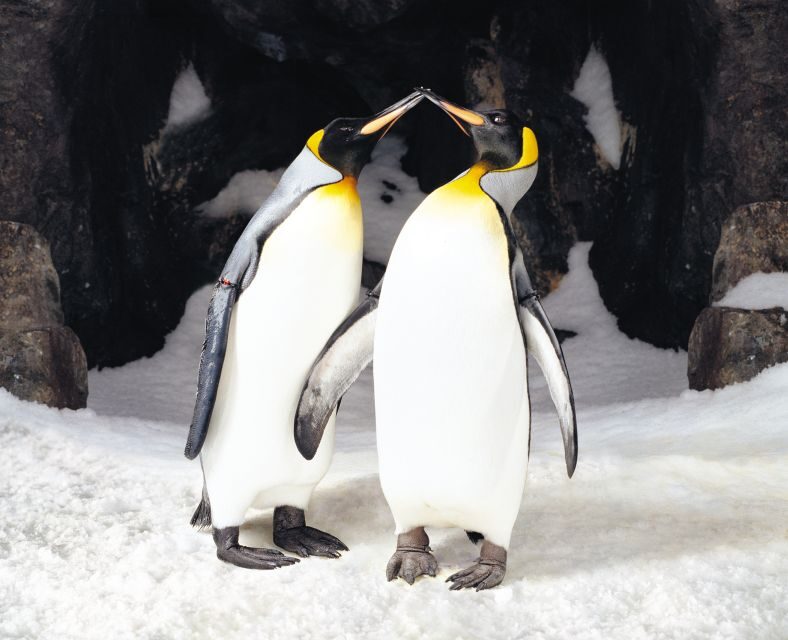 Sea Life Kelly Tarlton's Aquarium General Admission - Education and Animal Talks