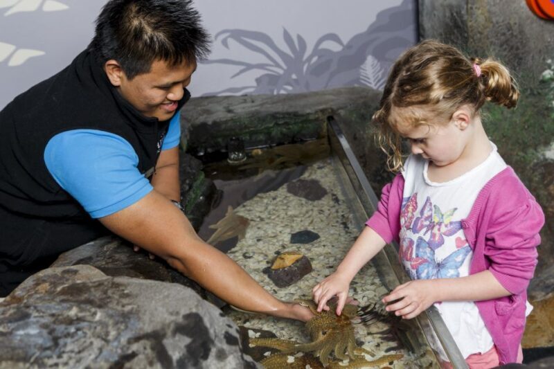 Sea Life Kelly Tarlton's Aquarium General Admission - Practical Tips for Your Visit