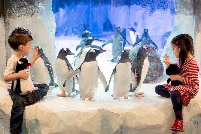 SEA LIFE Kelly Tarlton's General Admission - Key Points