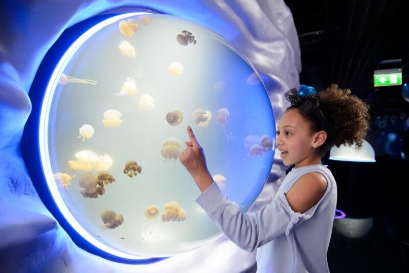 SEA LIFE London & DreamWorks Shrek's Adventure: Combo Ticket - Authentic Visitor Insights