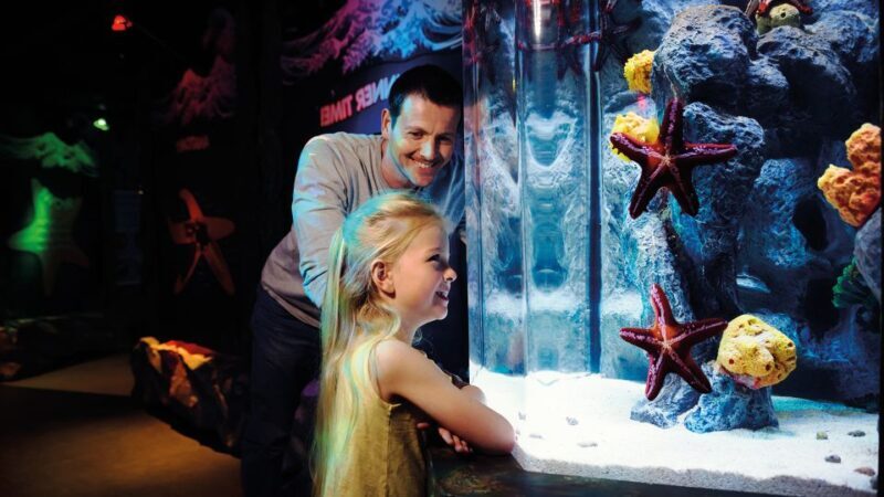 SEA LIFE London & DreamWorks Shrek's Adventure: Combo Ticket - FAQs