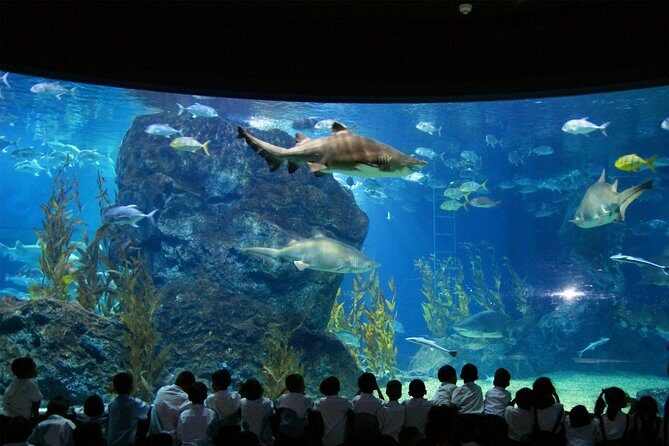 SEA LIFE & Madame Tussauds: Ultimate Bangkok Combo Ticket - The Attractions: What You Can Expect