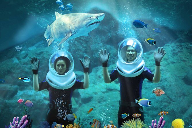 SEA LIFE & Madame Tussauds: Ultimate Bangkok Combo Ticket - Who Should Book This Tour?