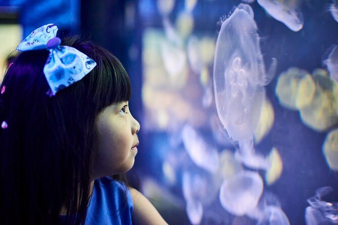 SEA LIFE Melbourne Aquarium Admission Ticket - The Sum Up