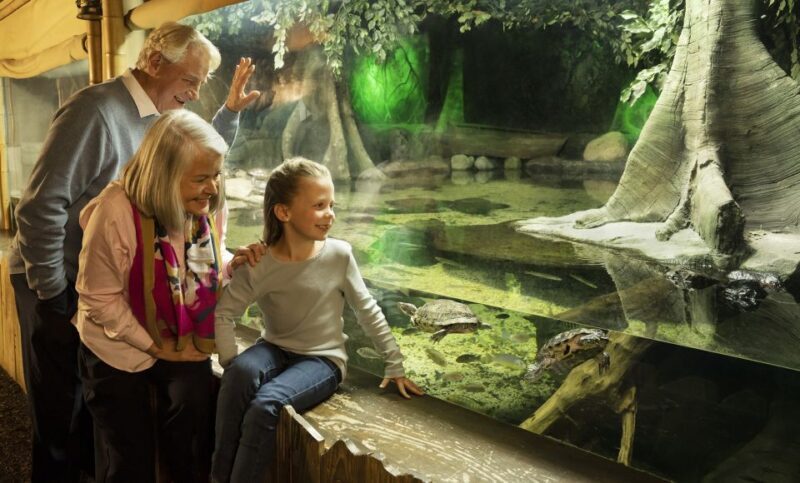 SEA LIFE Michigan Aquarium General Admission - Key Points