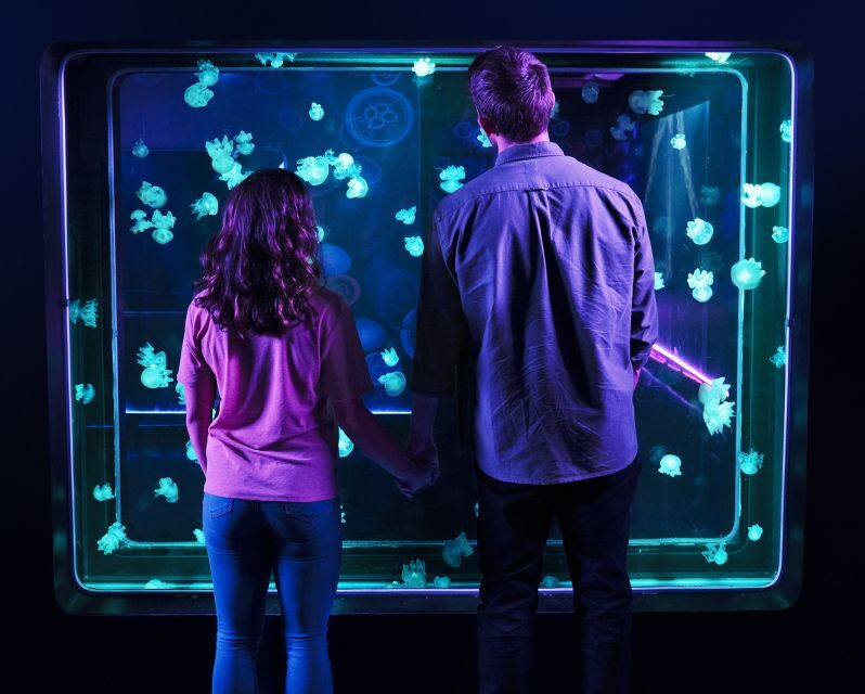 SEA LIFE Michigan Aquarium General Admission - Final Thoughts: Who Will Enjoy SEA LIFE Michigan?