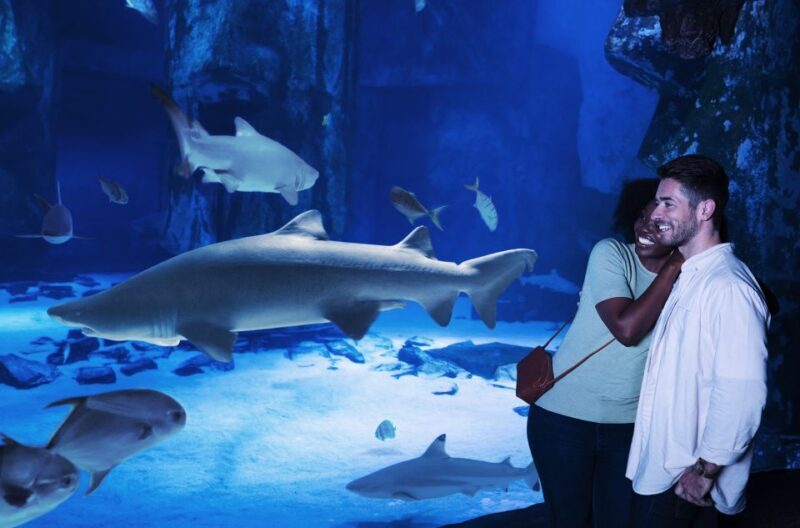 SEA LIFE Michigan Aquarium General Admission - FAQ