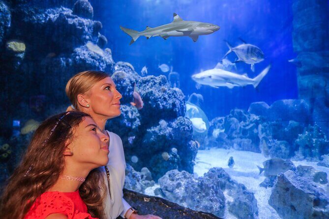 SEA LIFE Munich Admission Ticket - The Experience: In-Depth Review