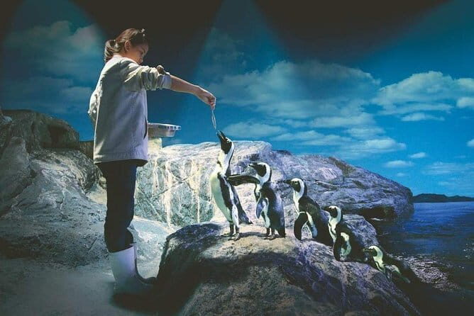 SEA LIFE Ocean World in Bangkok Admission Ticket - An In-Depth Look at SEA LIFE Bangkok Ocean World