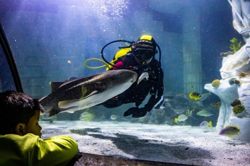SEA LIFE Porto Full-Day Entrance Ticket - Starting Point: Easy Access and Convenient Location