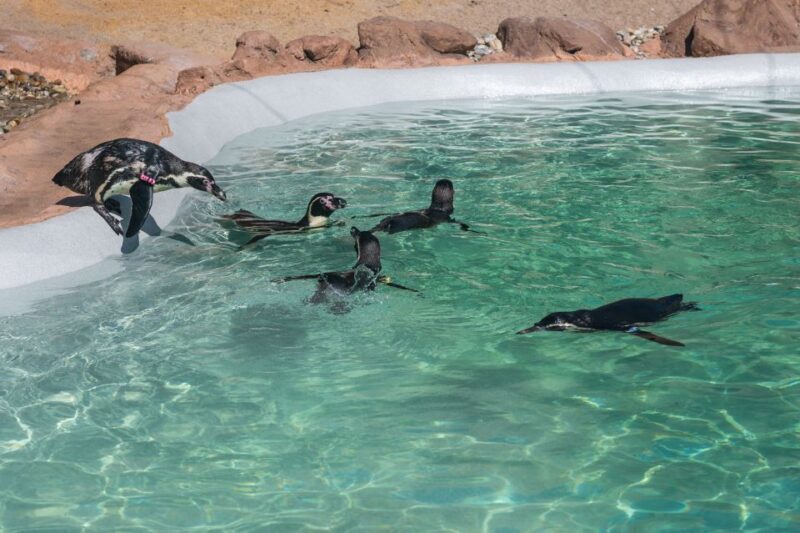 SEA LIFE Porto Full-Day Entrance Ticket - Visitors’ Experiences and Feedback